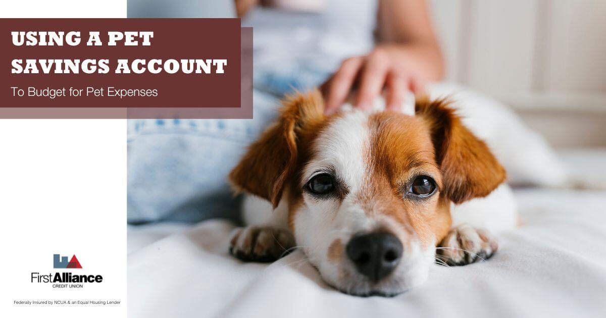 Using a Pet Savings Account to Budget for Pet Expenses
